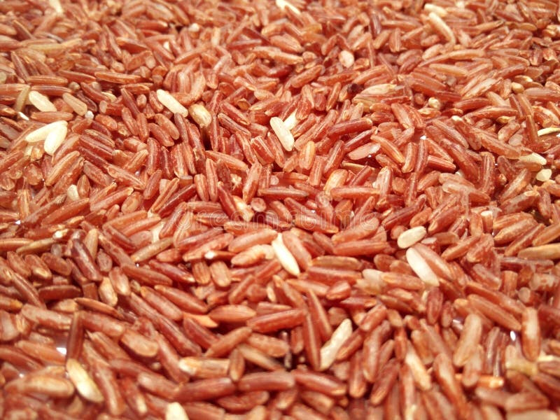 Thai brown rice texture stock photo. Image of closeup - 91342974