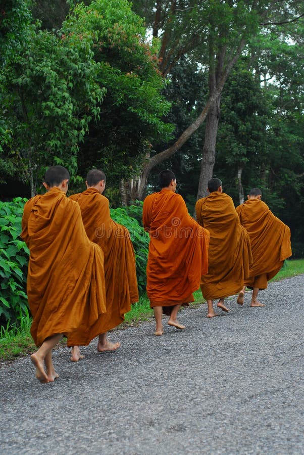 Thai Buddhist monk editorial photography. Image of morning - 50734387
