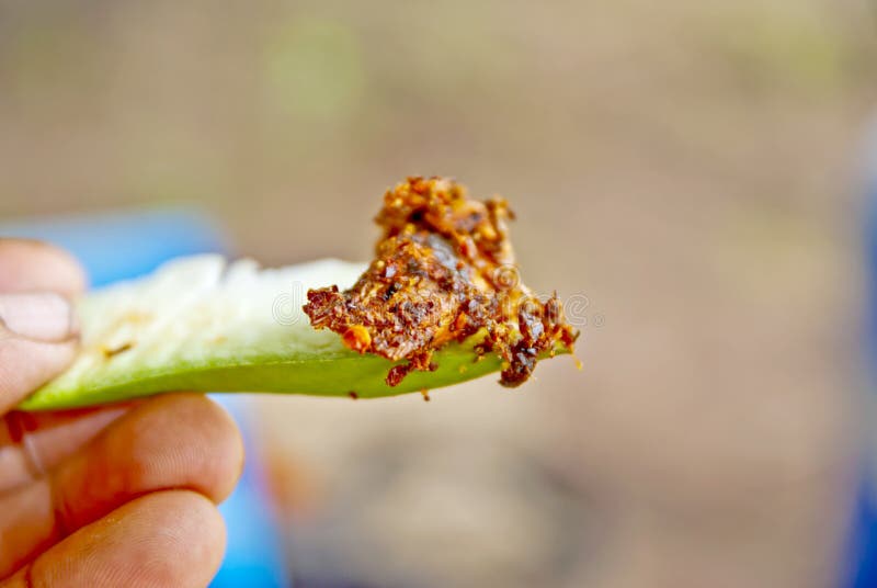 Thai Chili Salt in Thailand Stock Image - Image of healthy, health ...
