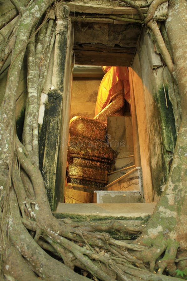 Thai Church Surrounded Tree Roots Stock Photos - Free & Royalty-Free ...