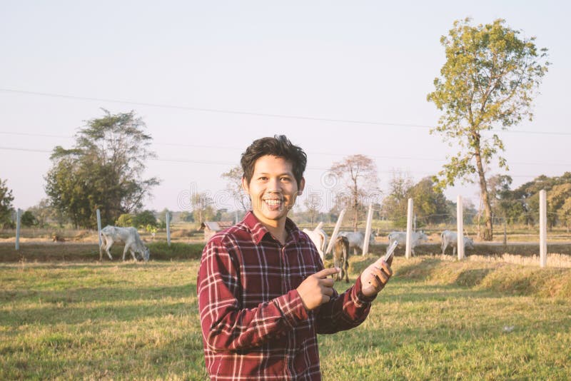 Thai Cowboy Using Smartphone in a Farm Stock Image - Image of farming ...