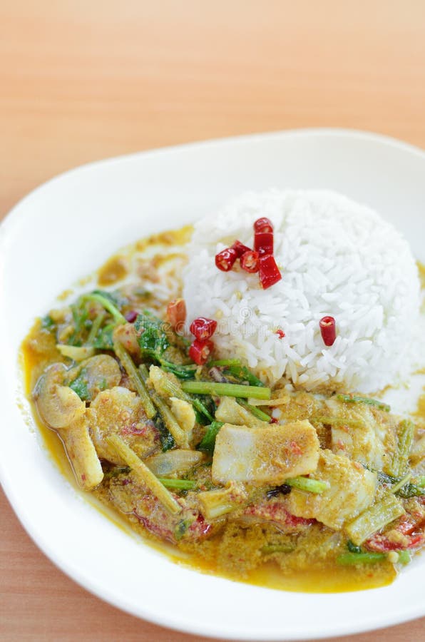 Thai curry with rice stock photo. Image of sauce, dinner - 35020584