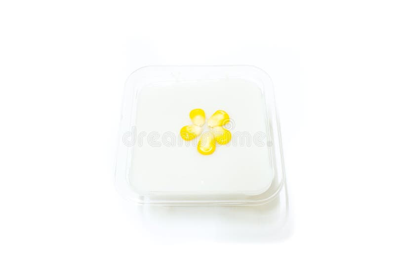 Name Tako Stock Photos - Free & Royalty-Free Stock Photos from Dreamstime