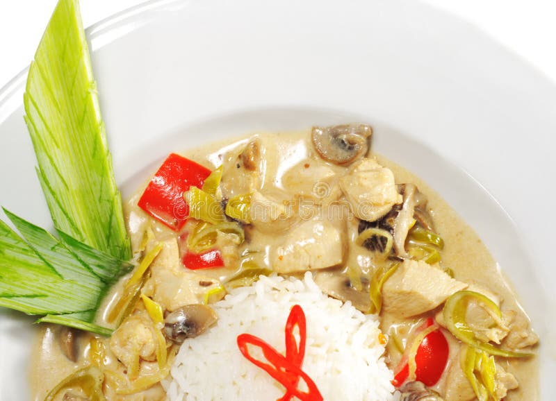 Thai Dishes - WOK Chicken stock image. Image of dinner - 8756977