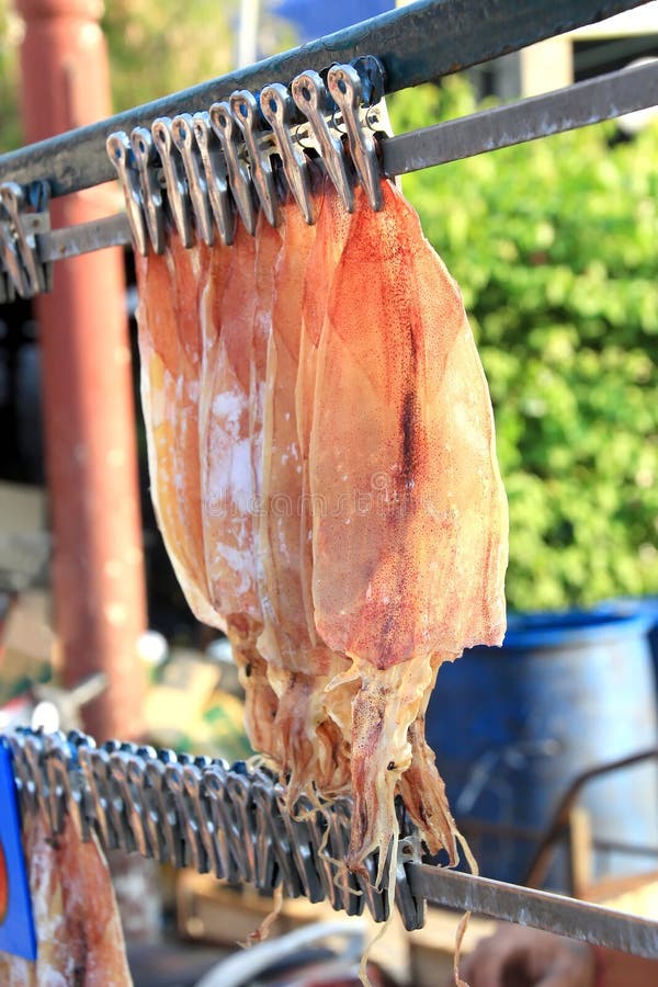 Thai Dried Salted Cuttlefish Stock Image - Image of diet, desiccation ...
