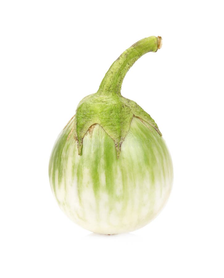 Solanum Xanthocarpum, Kandankathiri, Kandakari, Kantakari, Yellow ...