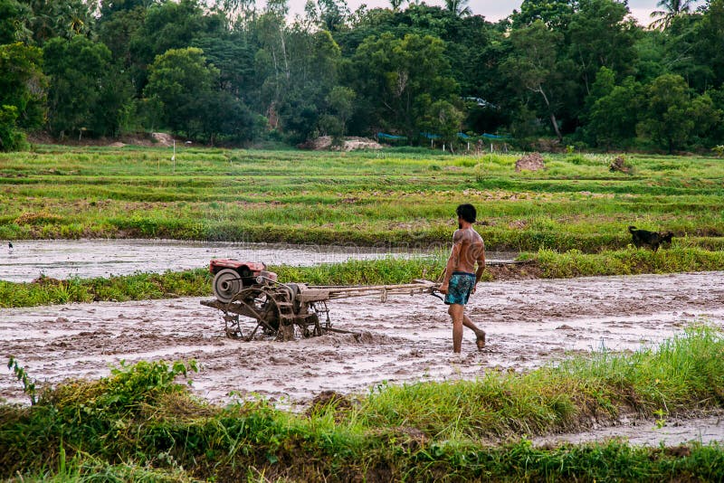 Thai Farmer Make Soil Preparation for Rice Editorial Photo - Image of ...