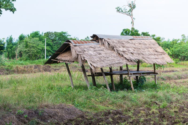 Thai farmer hut stock image. Image of rural, scene, agriculture - 105463741