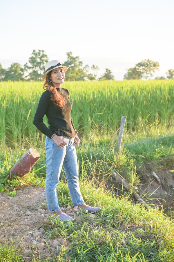 Thai Female with Rice Field Background Stock Image - Image of holiday ...