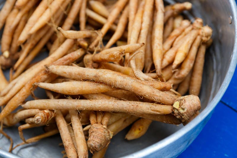 Thai Fingerroot for Cooking Stock Photo - Image of asian, food: 159841316
