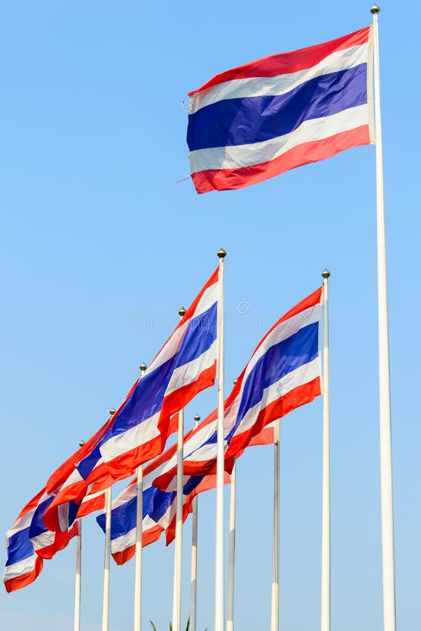 Thai Flags stock photo. Image of nature, blue, pole, flag - 37457016