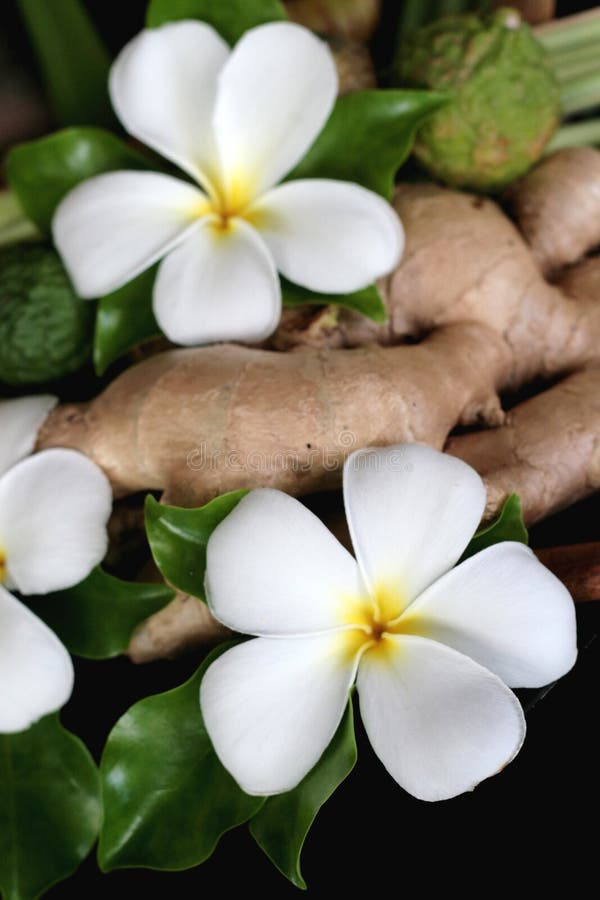 Thai flowers stock image. Image of orient, culture, aroma - 5302913