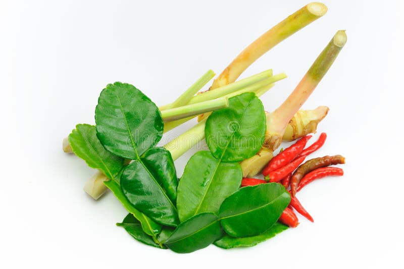 Wat pho temple in Bangkok stock photo. Image of antiquities - 39013608