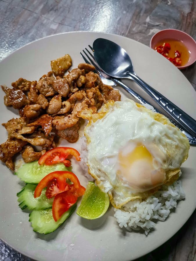 Thai Fried Pork with Rice and Egg Stock Image - Image of fried, thai ...