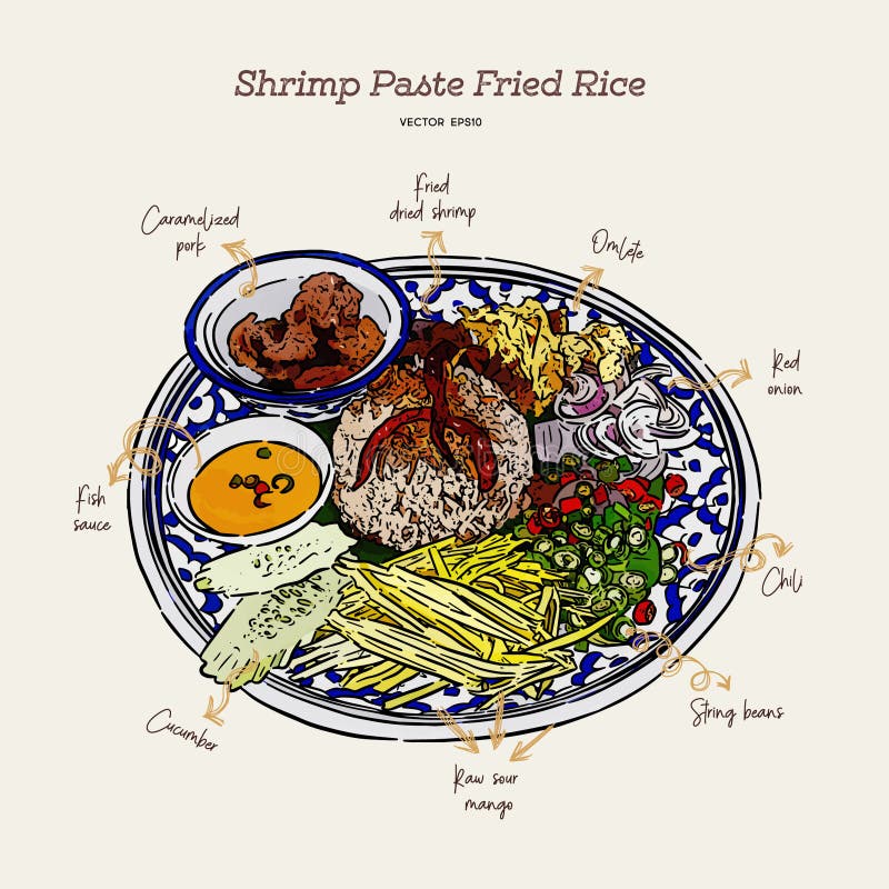 Thai Fried Rice with Shrimp Paste, Khao Kluk Kapi. Hand Draw Vector ...