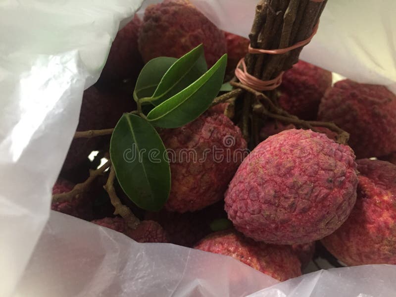 Thailand lychee in bag stock photo. Image of sweet, lychee - 150192978