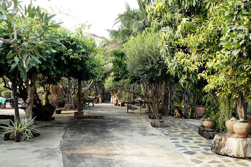 Thai garden stock image. Image of spring, grass, landscaping - 67266403