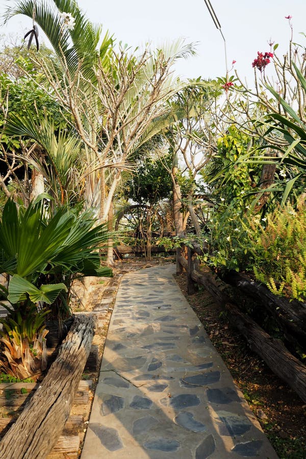 Thai garden stock photo. Image of landscaped, colorful - 67266684