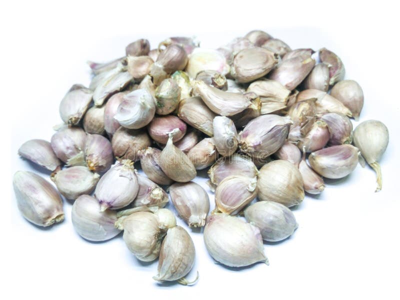 Thai garlic isolated stock photo. Image of garlic, vegetable - 92146868