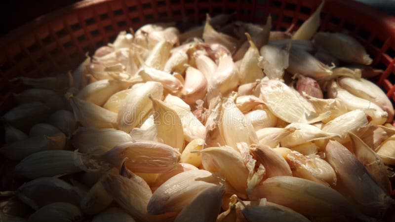 Thai garlic stock photo. Image of kitchen, garlic, recipe - 53329252