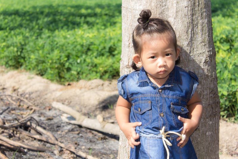 Thai girl in bean garden stock image. Image of cheerful - 77942853