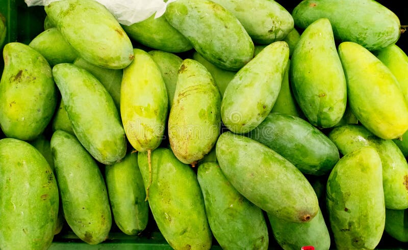 The Thai green mangoes stock image. Image of fresh, health - 260491081