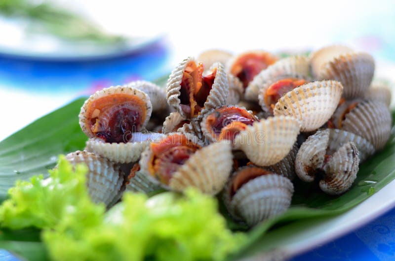 Thai grill shell stock image. Image of delicious, grill - 29124121