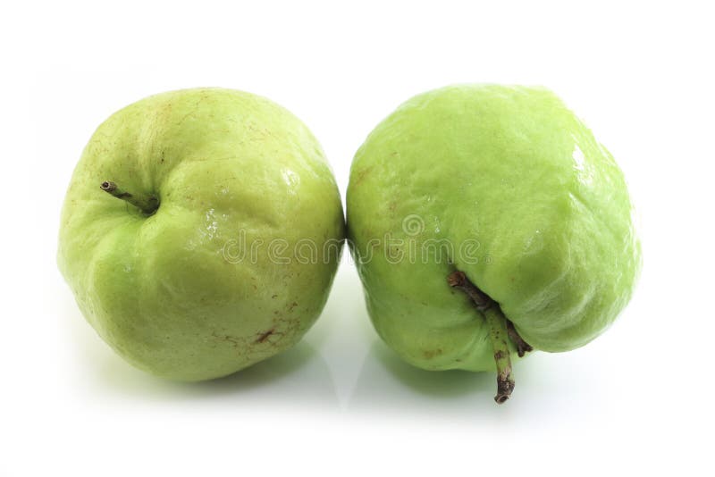 Thai guava fruit stock photo. Image of ripe, diet, asia - 53484052