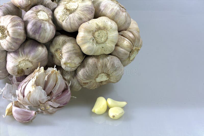 Thai hot garlic stock photo. Image of spices, garlic - 59521048