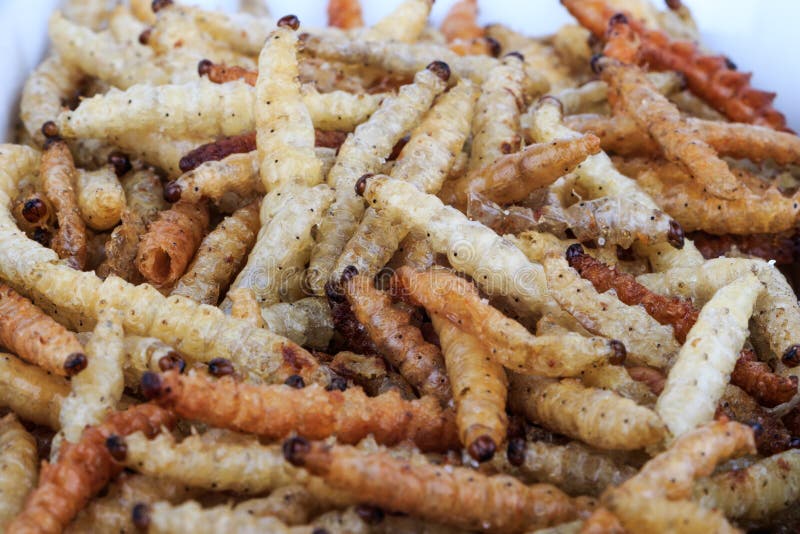 Thai Insects, Fried Insects Mealworms for Snack. Stock Image - Image of ...