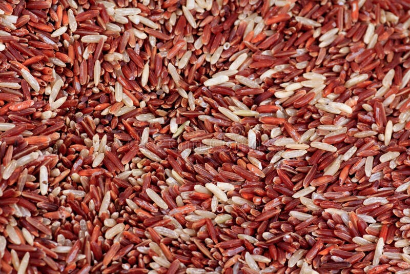 Thai jasmine brown rice stock image. Image of grain, seed - 23465277