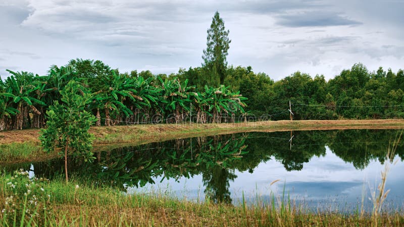 Thai Landscape stock image. Image of evening, bush, horizontal - 35377863