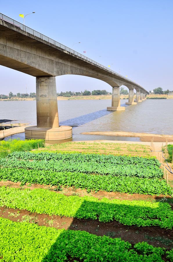Thai-Laos Friendship Bridge Stock Photo - Image of borderland, river ...