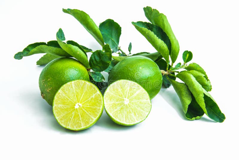 Thai Lemon and Green Leaves Stock Image - Image of thailand, leaves ...
