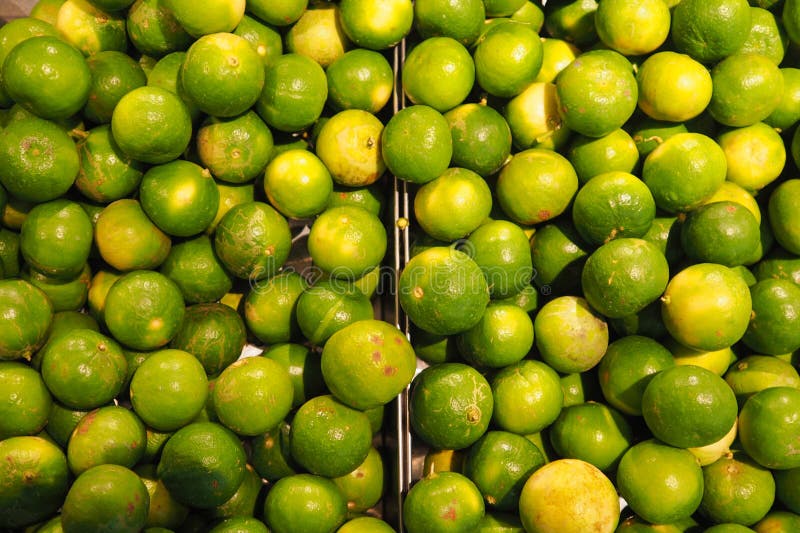 Thai Lemon stock image. Image of orange, nature, sweet - 126433949