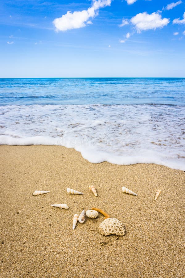 A Wonderful Day at the Beach with Shells on the Sandy Beach and a Wave ...