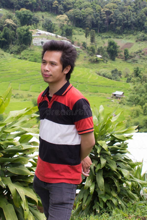 Thai Man with Terraced Rice Field, Pha Mon Chiangmai Thailand Stock ...