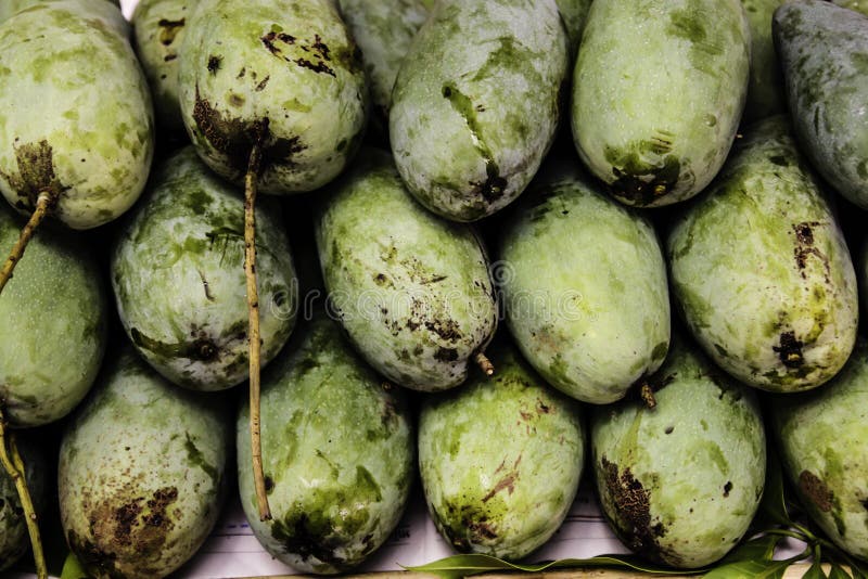 Thai Mango stock image. Image of closeup, close, harvest - 25892225