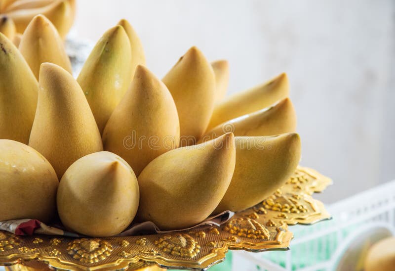 Thai Mango on a Fruit Platter Stock Image - Image of shelf, popular ...