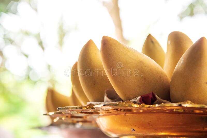 Thai Mango on a Fruit Platter Stock Image - Image of arrange, market ...