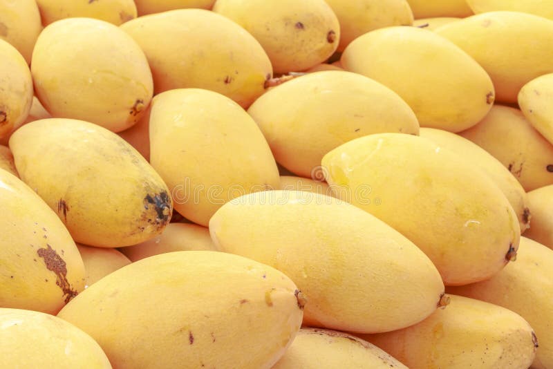 Thai Mangoes, Fruit Thailand Stock Image - Image of diet, breakfast ...