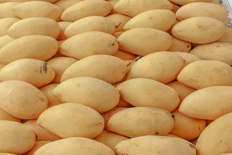 Thai Mangoes, Fruit Thailand Stock Photo - Image of asian, ripe: 67356880