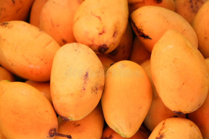 Thai mangoes stock image. Image of closeup, grocery, color - 43530127