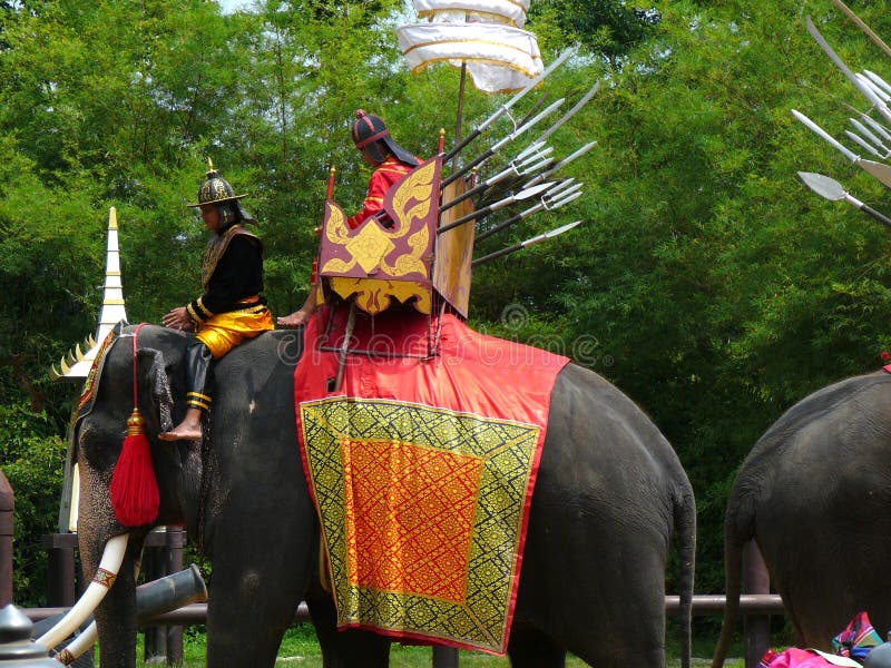 Decorated Elephant Carry Driver in Amber Fort, Jaipur, Rajasthan, India ...