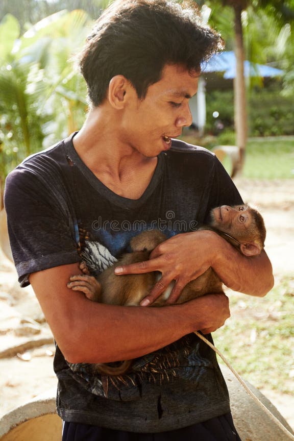 Thai Monkey Keeper Holding Monkey. a Thai Monkey Keeper Cradling His ...