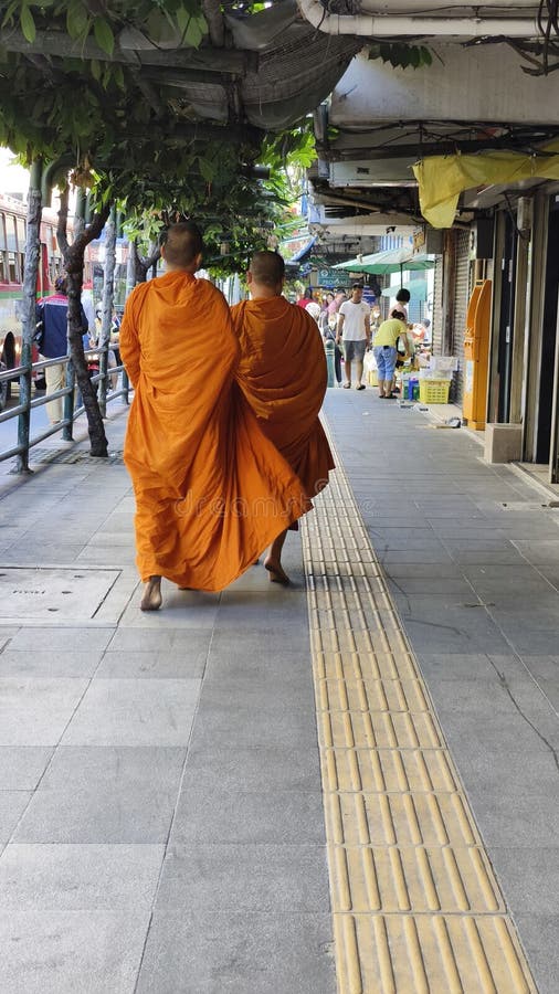 Ifocus - Photographer profile