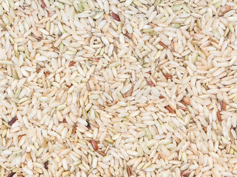 Thai organic rice stock image. Image of texture, food - 28756671