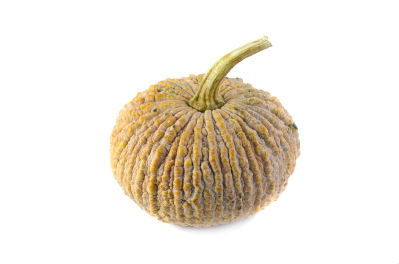 Pumpkin Isolate. Fresh Orange Pumpkin Isolated on White Background ...