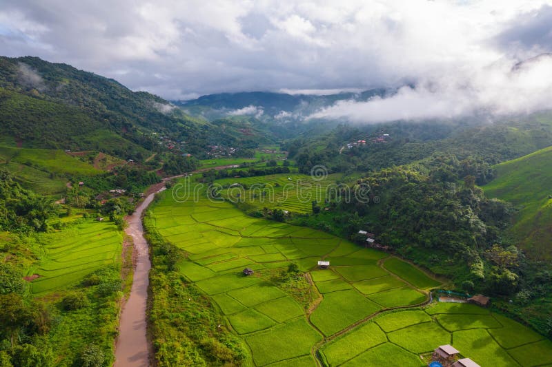 Thai Rice Fields from Above in Thailand Stock Image - Image of view ...