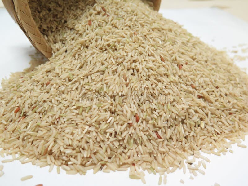 Thai_Rice stock image. Image of foodthai, jasmine, grain - 83726851